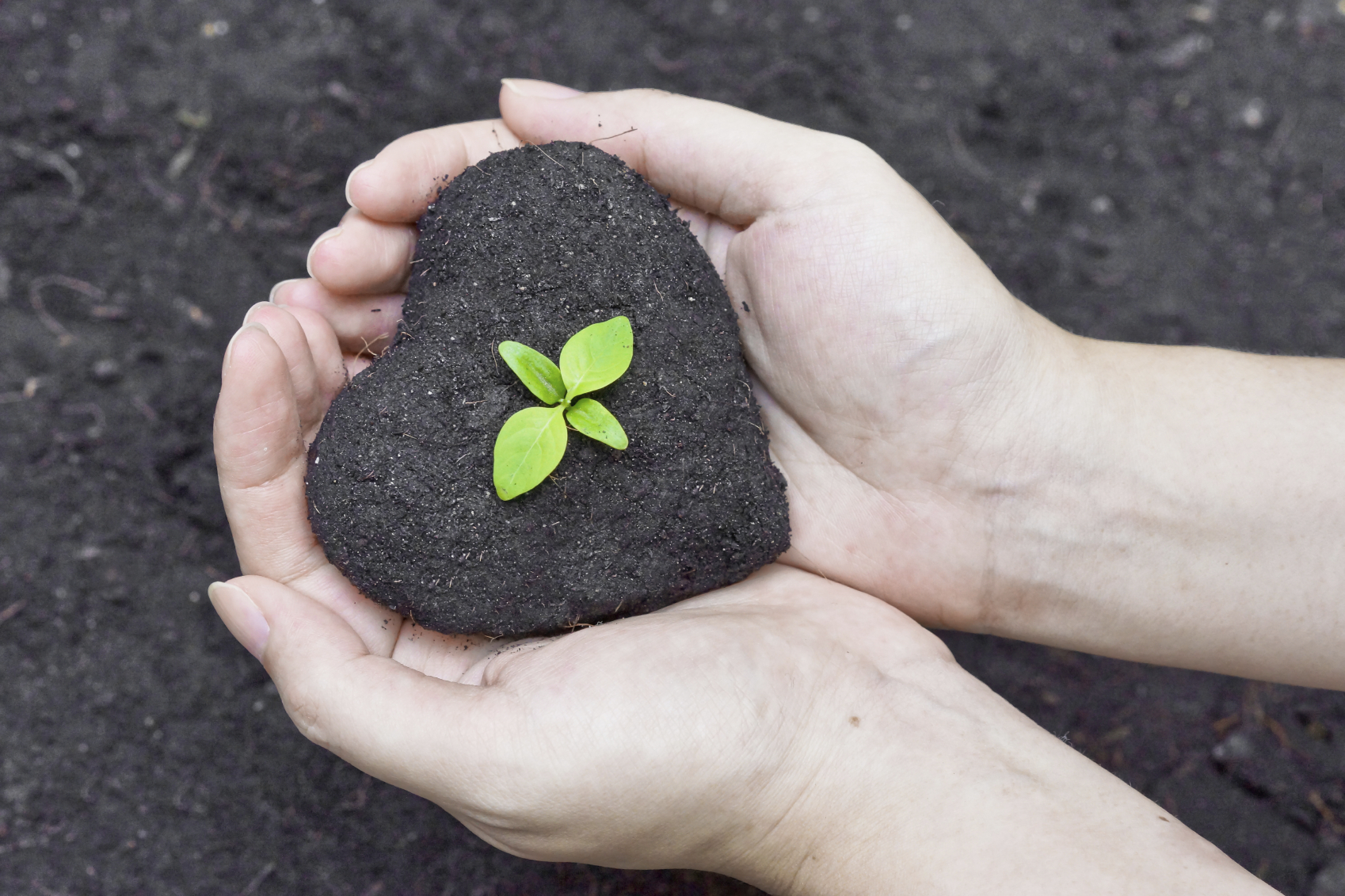 Tudo o que você precisa saber sobre responsabilidade social